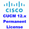 Cisco CCNA CCENT CCNP CCIE Home Lab Training Kit